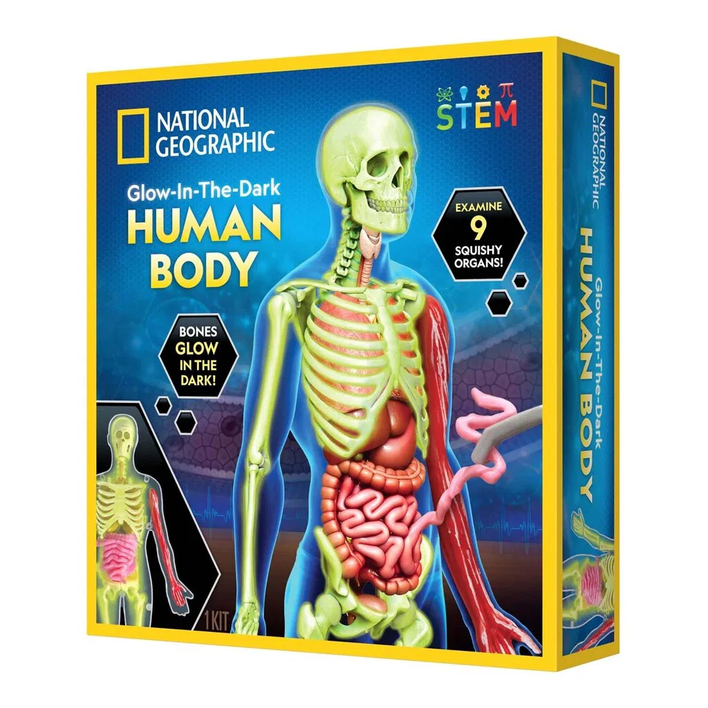 National Geographic Human Body Science Kit – Berglon